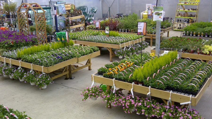 STANDARD FLEXI BENCH — Timber Displays