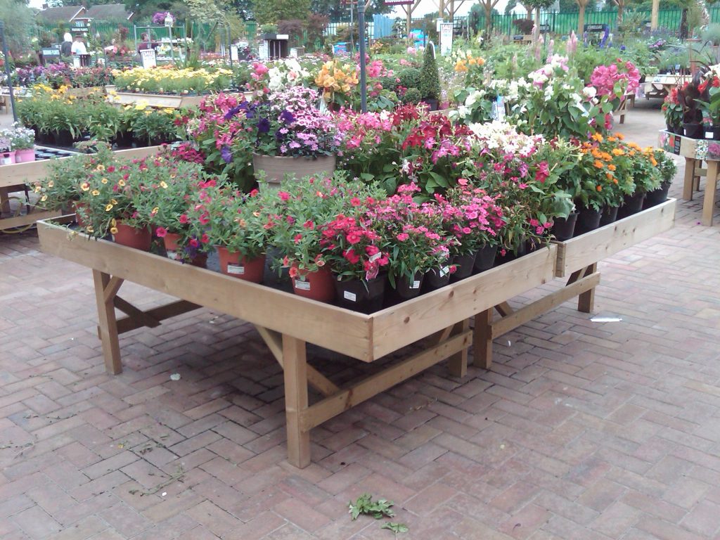 GENERAL DISPLAY TABLE — Timber Displays